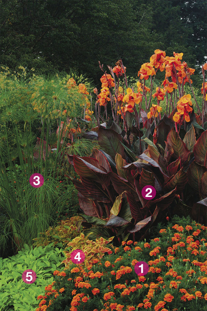 Exciting Plant Combinations Every Gardener Should Try - Fine Gardening