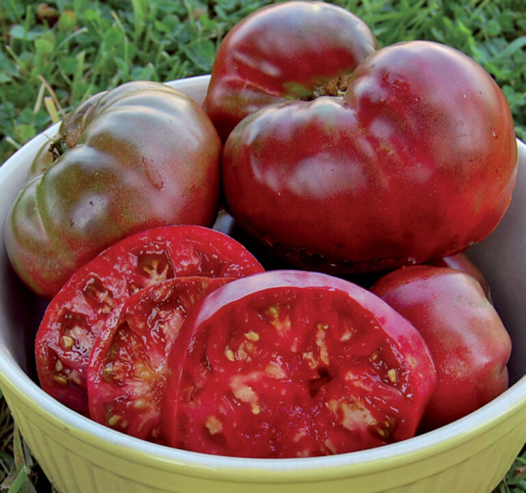 19 Varieties of Heirloom Tomatoes to Grow in the Kitchen Garden - Fine ...