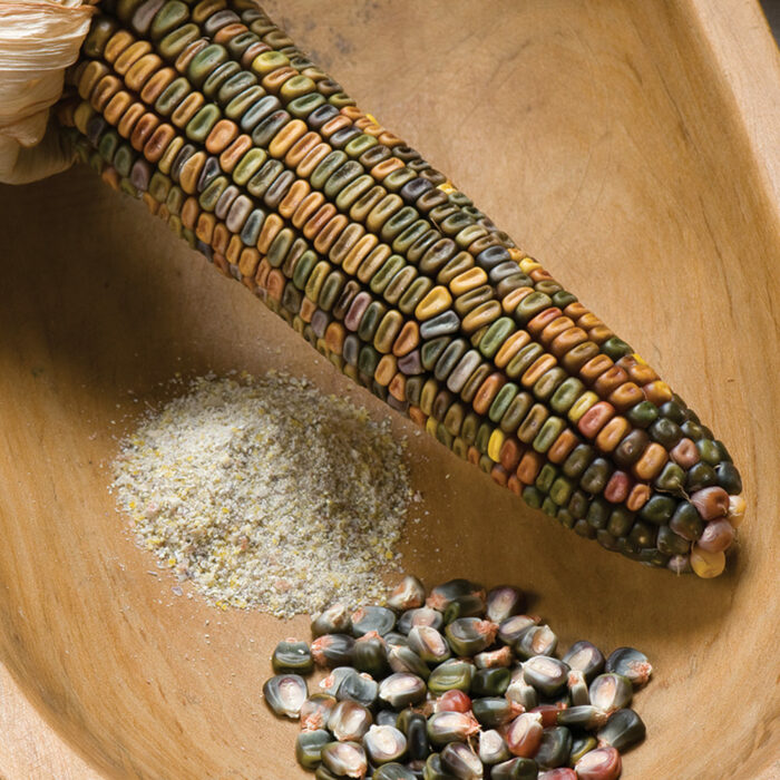 How to Grow Corn - Fine Gardening