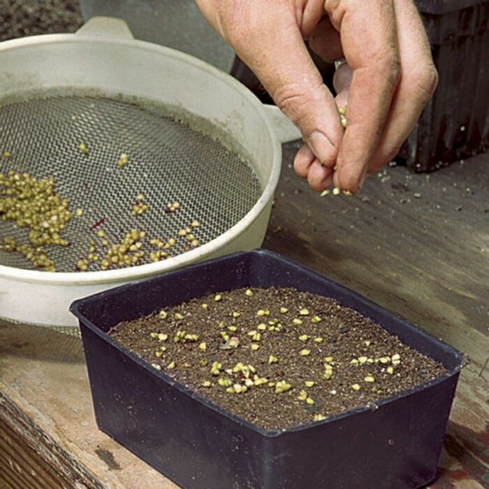 A Gardener's Checklist for Early Spring - Fine Gardening