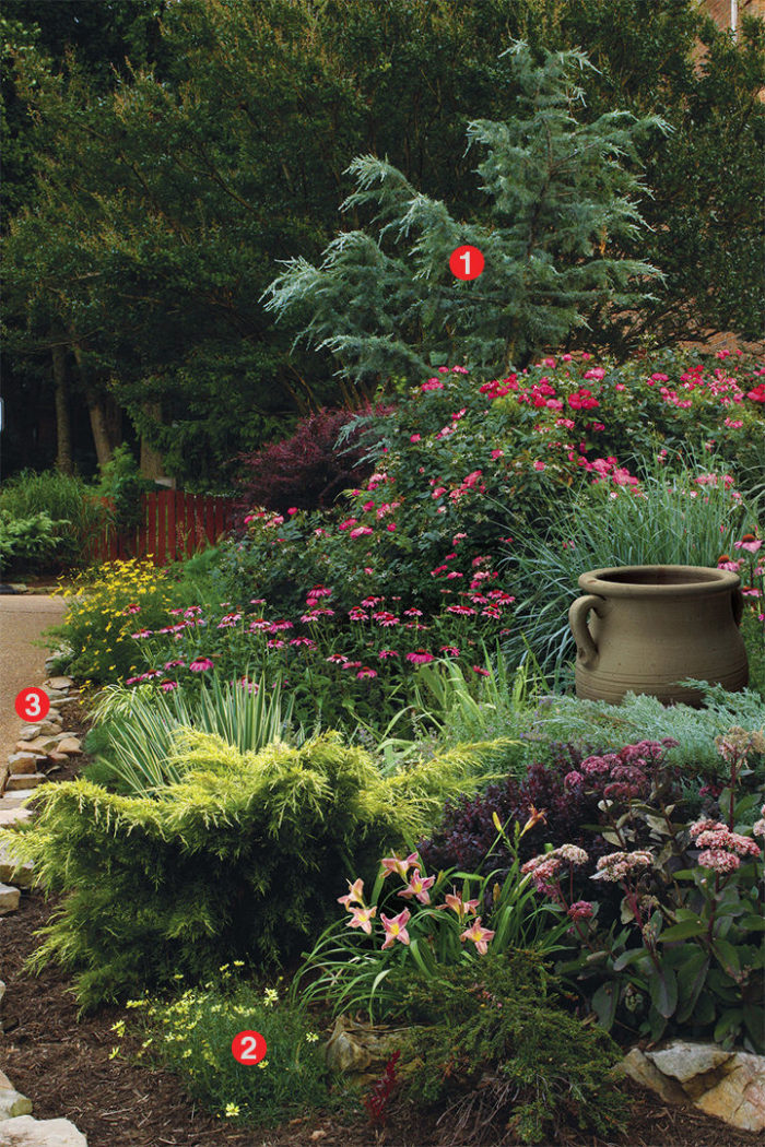 Designing with Conifers - Fine Gardening