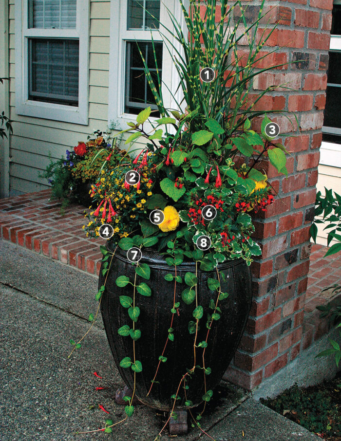 Ideas for Stylish Shady Container Gardens - Fine Gardening