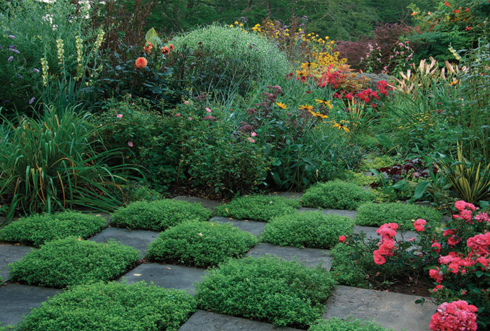 Simplify Your Color Scheme - Fine Gardening