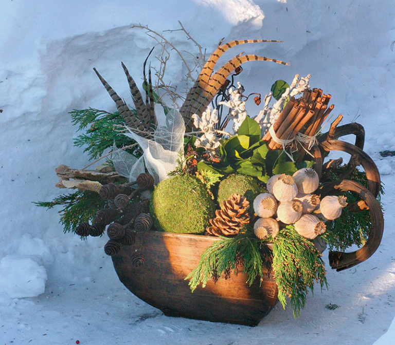 6 Winter Container Ideas - Fine Gardening