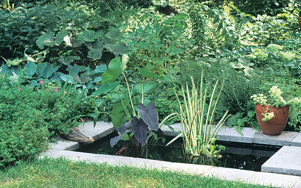 Simple Ways to Add Water to the Garden - Fine Gardening