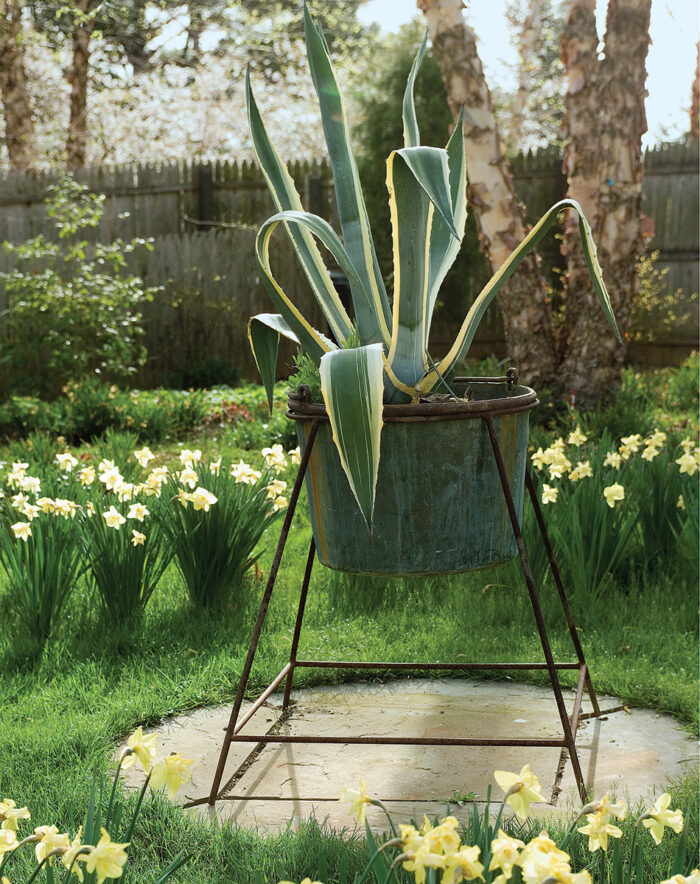 Seven Ways to Use Containers as Focal Points - Fine Gardening