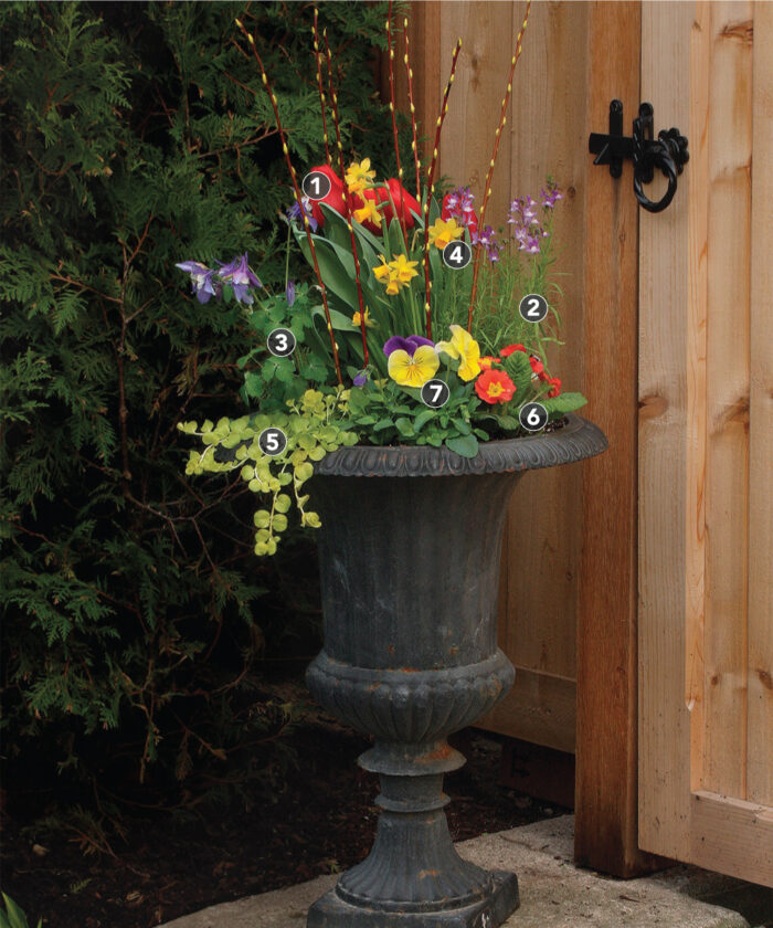 Spring Containers for Every Style - Fine Gardening
