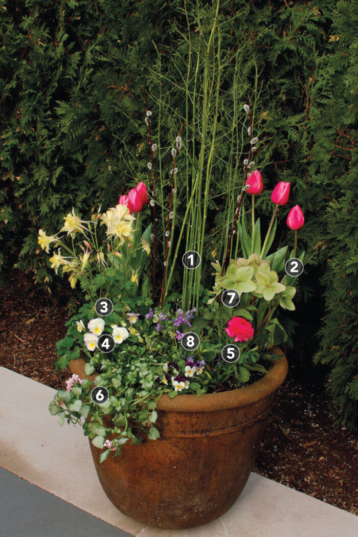 Spring Containers for Every Style - Fine Gardening