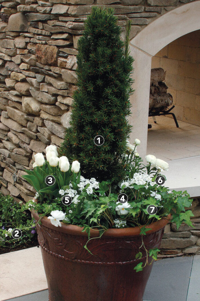 Spring Containers for Every Style - Fine Gardening