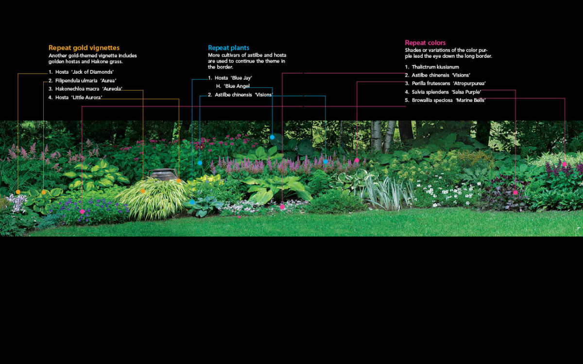 A Strategy for a Long Border - Fine Gardening