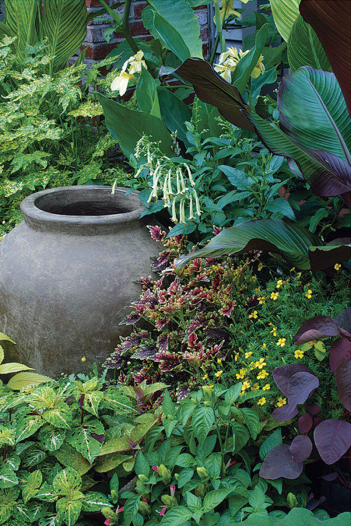 How to Stage a Container Plant Display - Fine Gardening