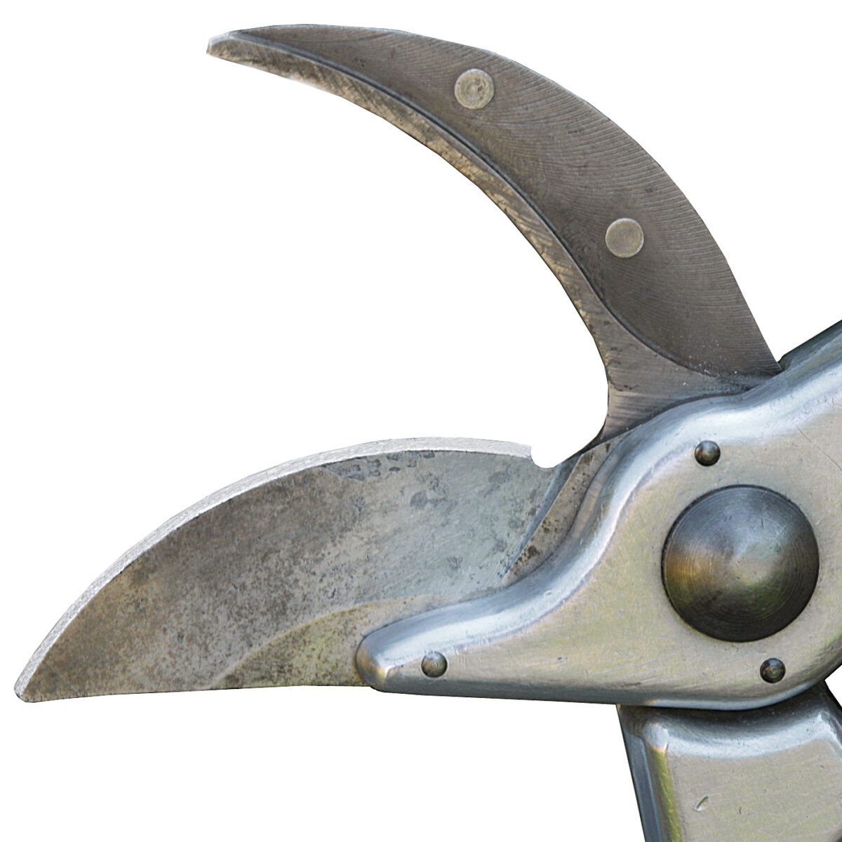 The Comprehensive Way to Sharpen Pruners - Fine Gardening