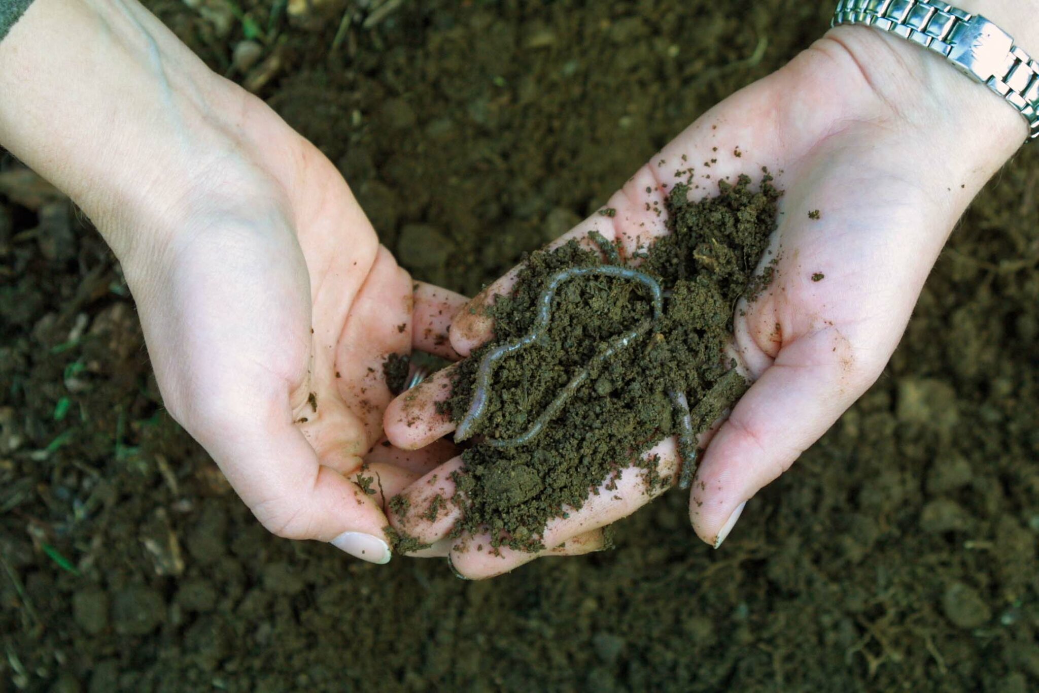 6 Ways to Make Great Compost - Fine Gardening