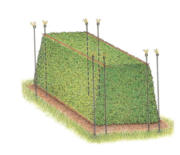 How to Trim a Formal Hedge - Fine Gardening