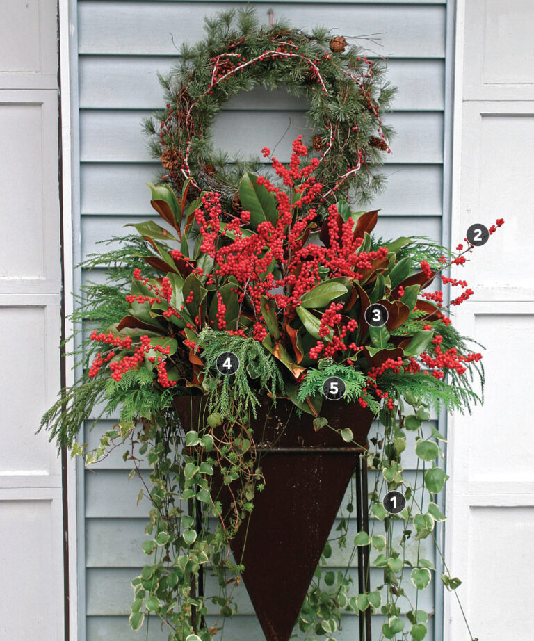 The Best Winter Containers From Outdoor Planters to Window Boxes - Fine ...