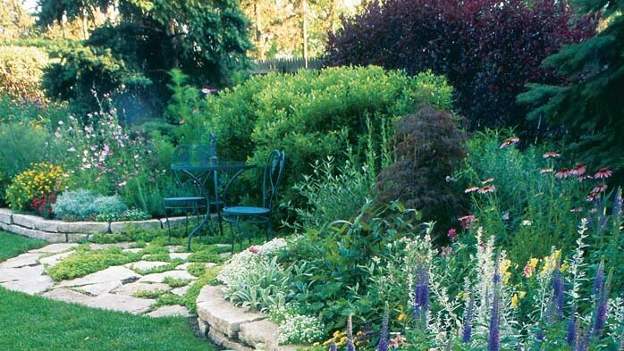 Rich Colors in Sun and Shade - FineGardening