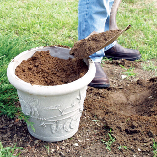 Choosing the Right Soilless Potting Mix - Fine Gardening