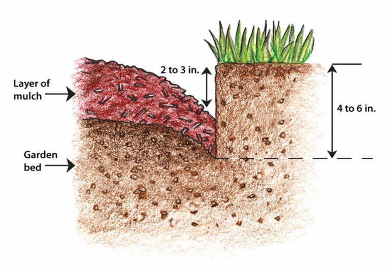 How to Create Perfect Edges for Your Garden Beds and Borders