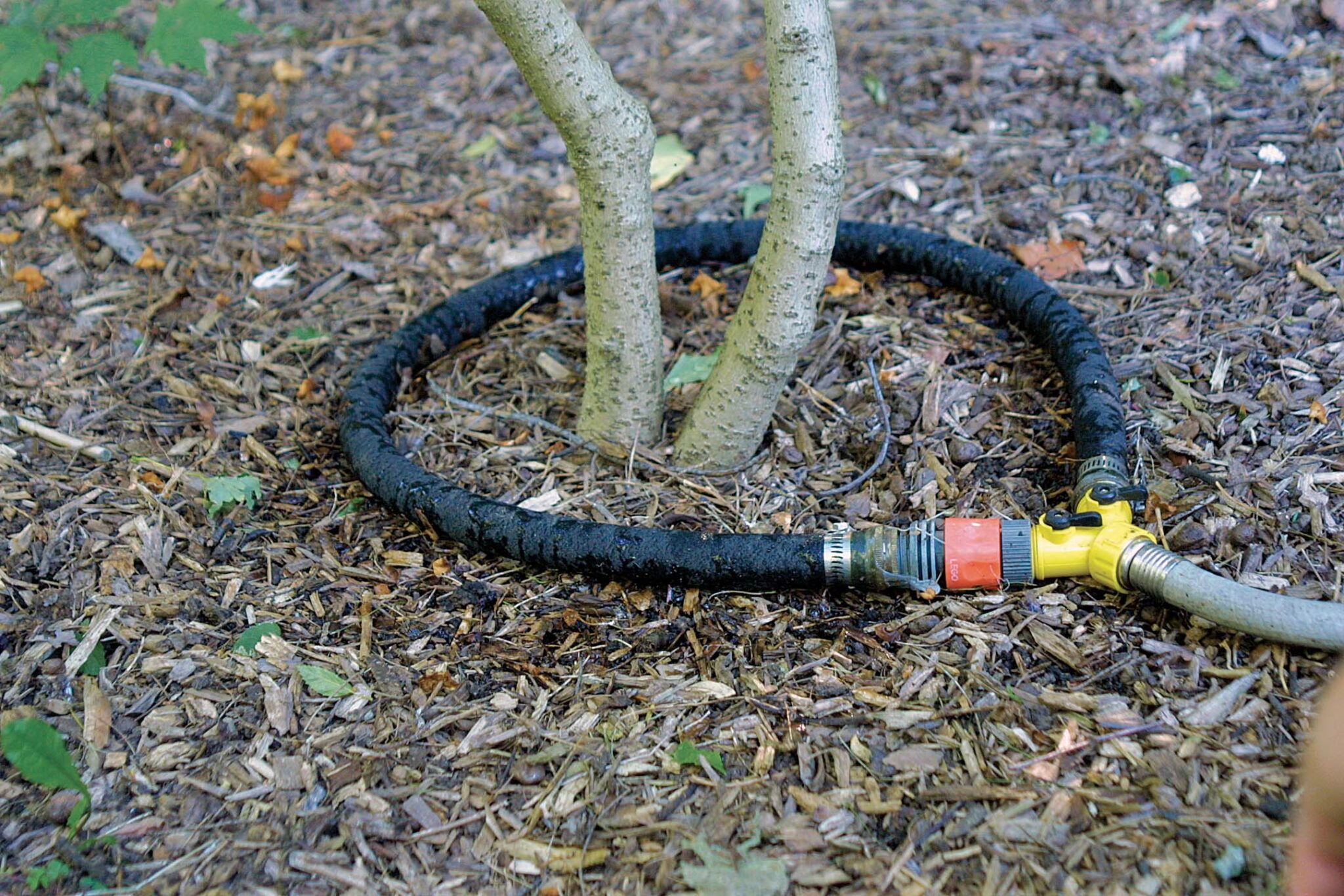 How to Water Your Garden Sustainably - Fine Gardening