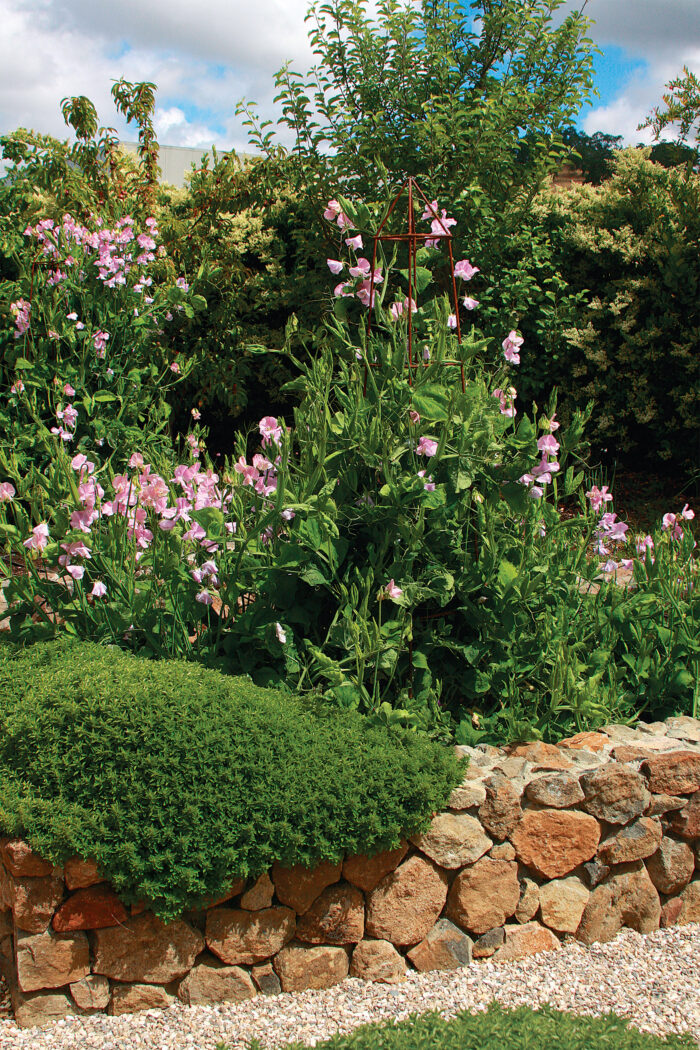 Stylish Raised Bed Ideas - Fine Gardening