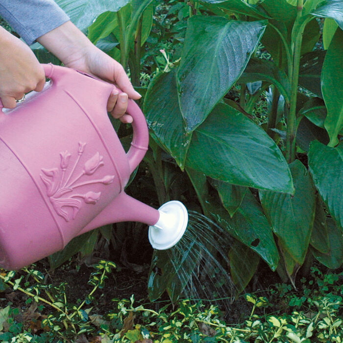 The Basics of Fertilizing Your Plants - Fine Gardening