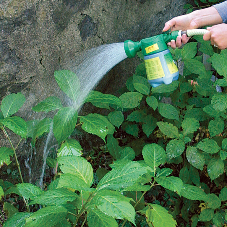 The Basics of Fertilizing Your Plants - Fine Gardening