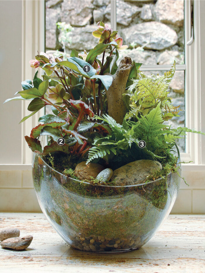 How to Design a Terrarium
