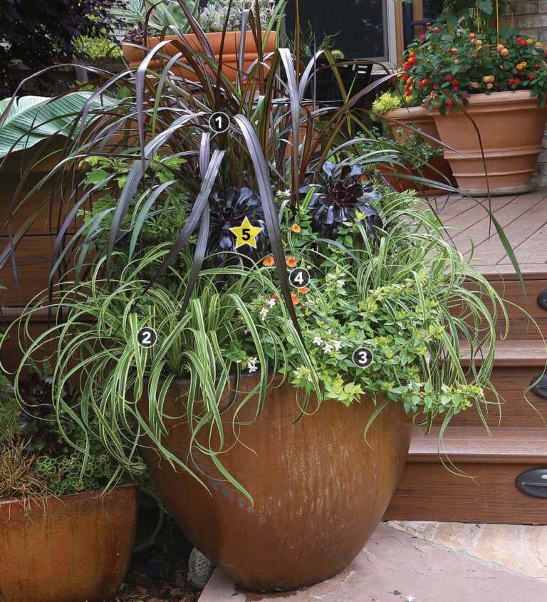 Expert Container Designs: How to Combine Plants with Different Needs ...