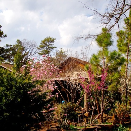 Southern Plains - Page 13 of 19 - FineGardening