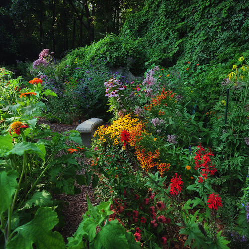 Flower Garden Ideas In Michigan | Fasci Garden