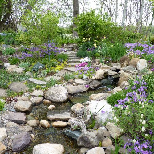 Garden Photo of the Day- Page 288 of 352 - Garden Inspiration From ...