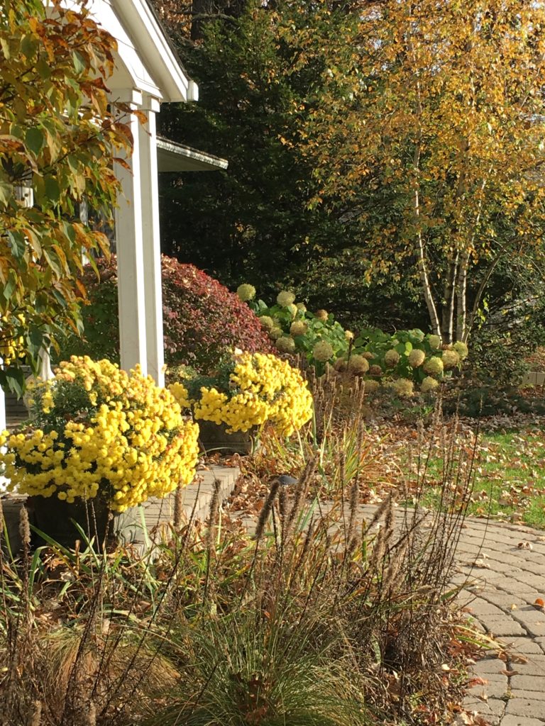 Fall Finale - Fine Gardening