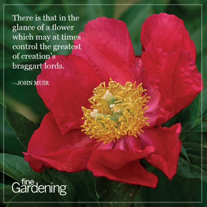Ten of the Best Spring Quotes - Fine Gardening