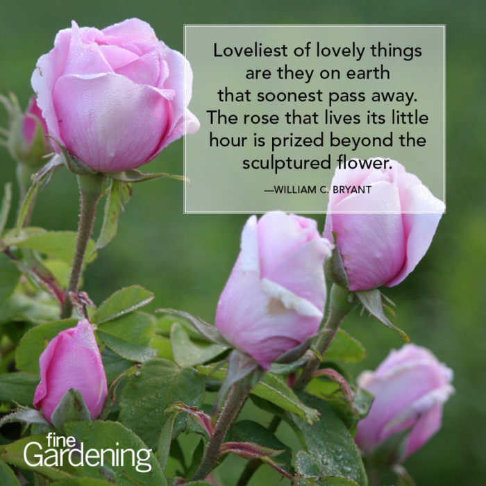 Ten of the Best Spring Quotes - Fine Gardening