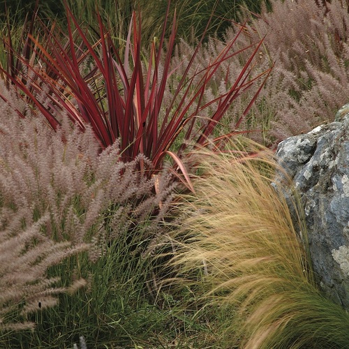 Garden Design: The Impact of Foliage