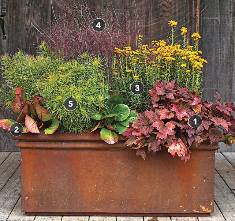 Autumn Pots Minus the Mums - Fine Gardening