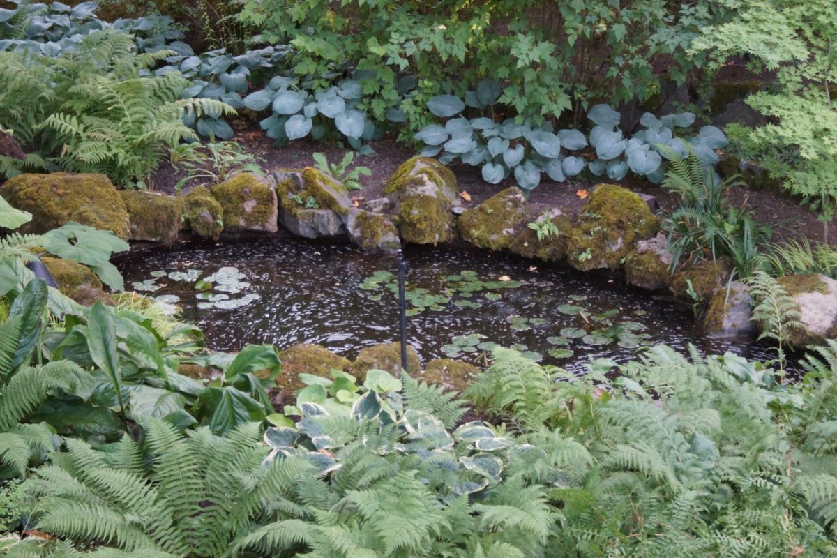 Inspiration for Shade Gardens - Fine Gardening