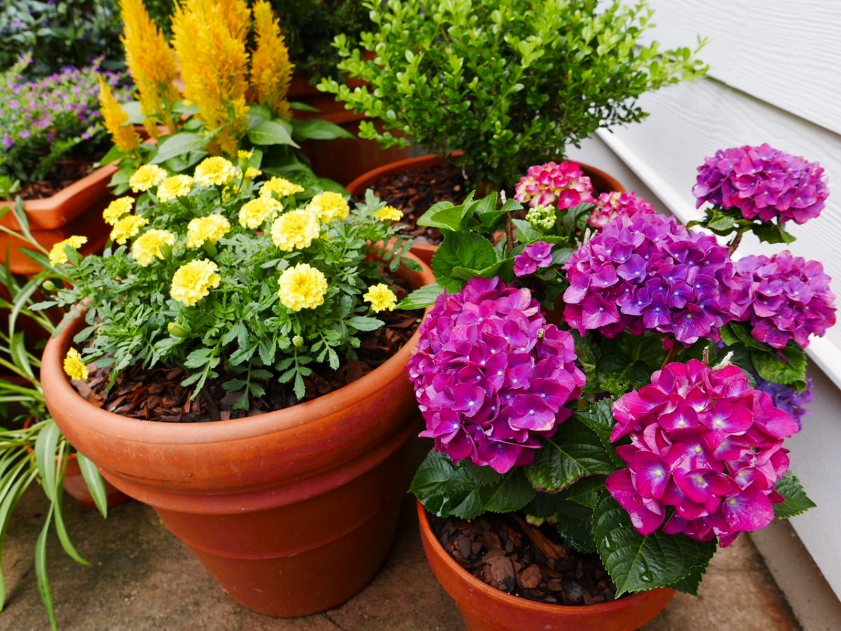 Making Perfect Vignettes in the Garden - Fine Gardening