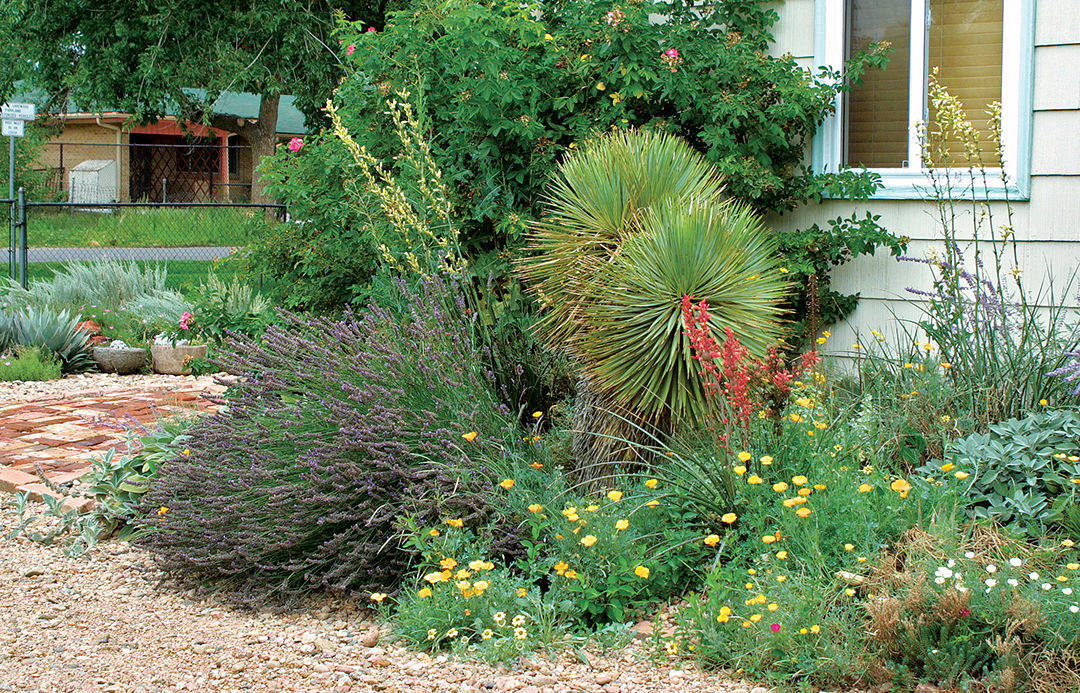 A Fresh Approach to Foundation Plantings - Fine Gardening