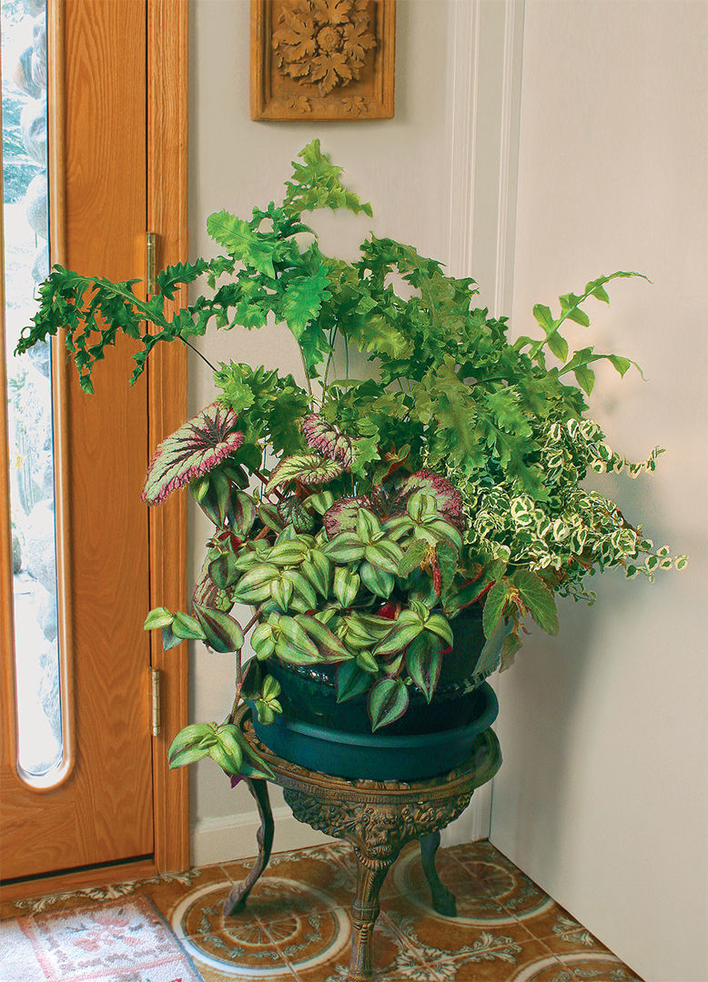 How to Create Beautiful Houseplant Containers - Fine Gardening