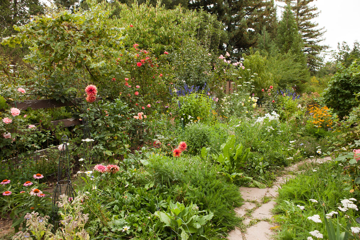 Part 2 of the Bunny Garden - Fine Gardening