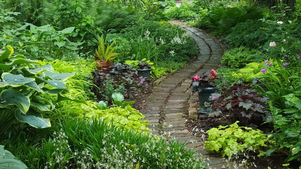 Big Garden, Small Space: Part 2 - Fine Gardening