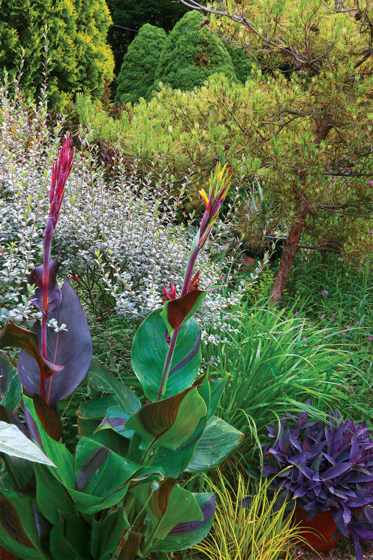 Preview: Good Garden Design is Worth the Wait