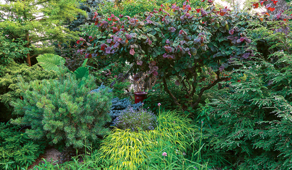 Preview: Good Garden Design is Worth the Wait