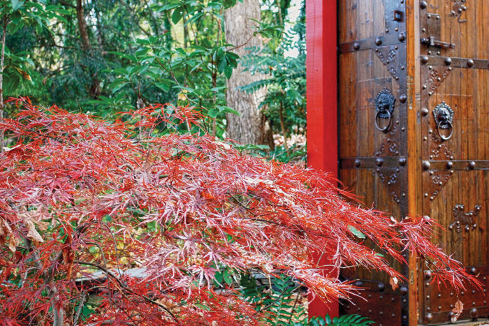 Mix and Match for a Meaningful Design - Fine Gardening