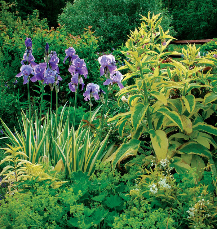 Mix and Match for a Meaningful Design - Fine Gardening