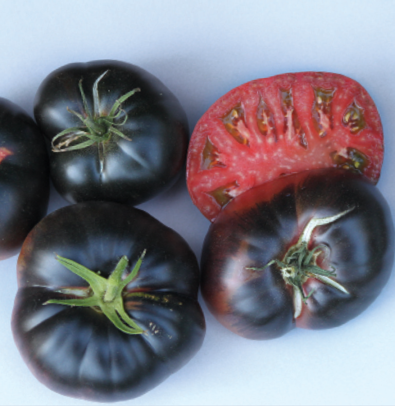 Great New Tomato Varieties - Fine Gardening