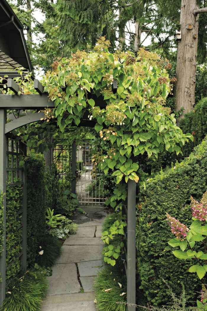 Plants for Shady Passageways - Fine Gardening