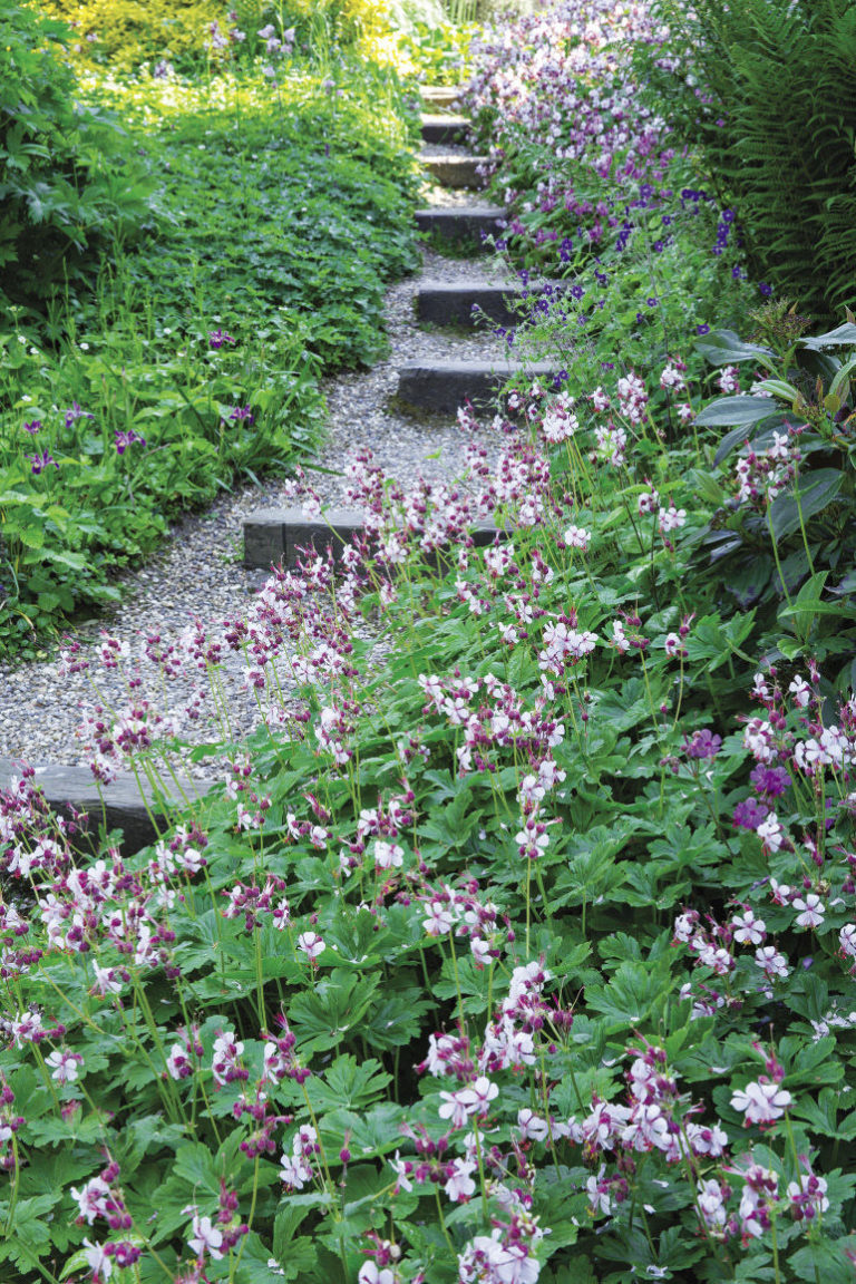 Plants for Shady Passageways - Fine Gardening
