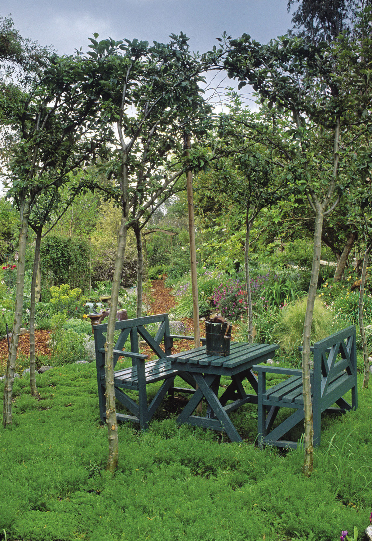 Pull a Design Together With Ground Covers - Fine Gardening